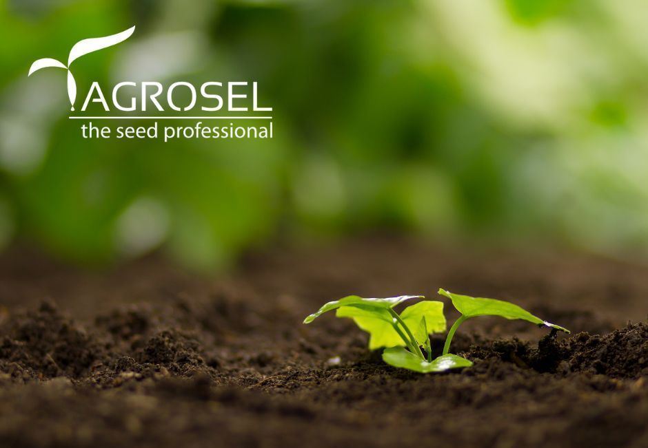 2023 objective for Agrosel, the market leader in Romania in the hobby ...